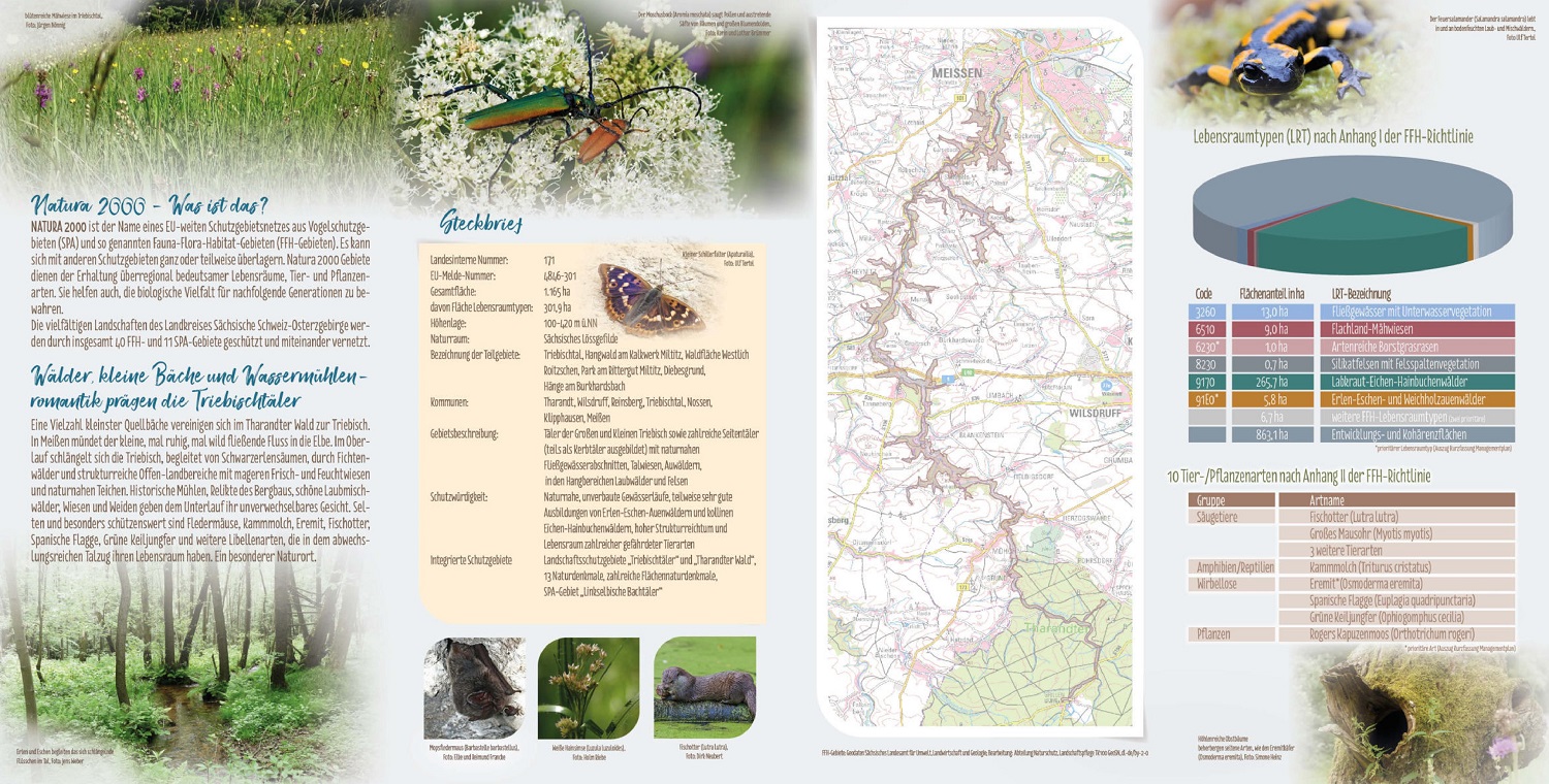 -Flyer - LPV-Osterzgebirge